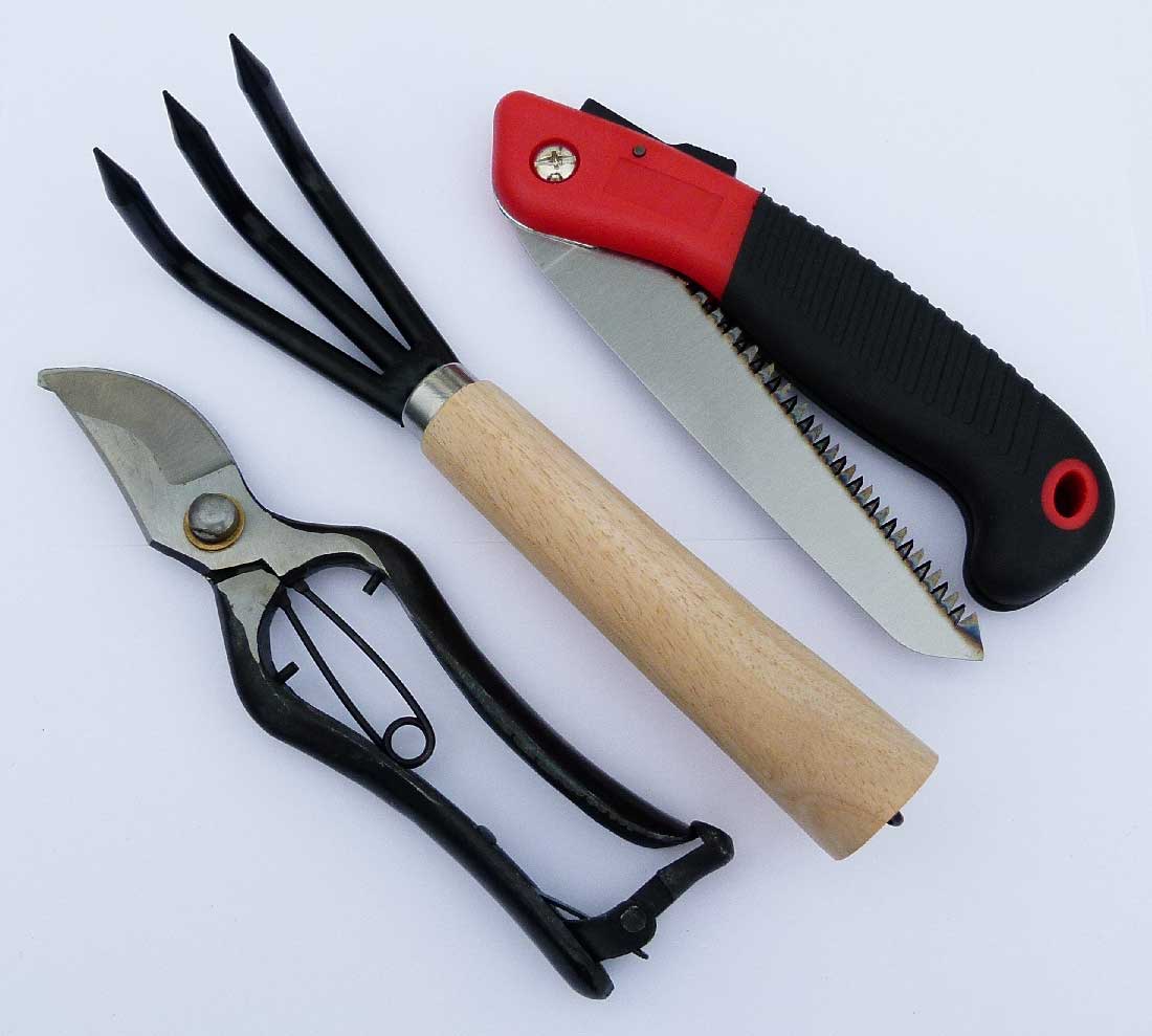 Bonsai Collecting Tools – Kaizen Bonsai