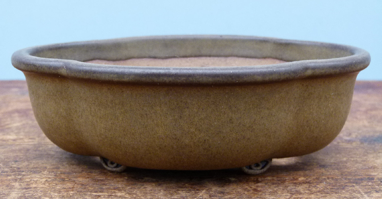 Oval glazed Shohin Bonsai Pot by Walsall Studios - Used – Kaizen Bonsai