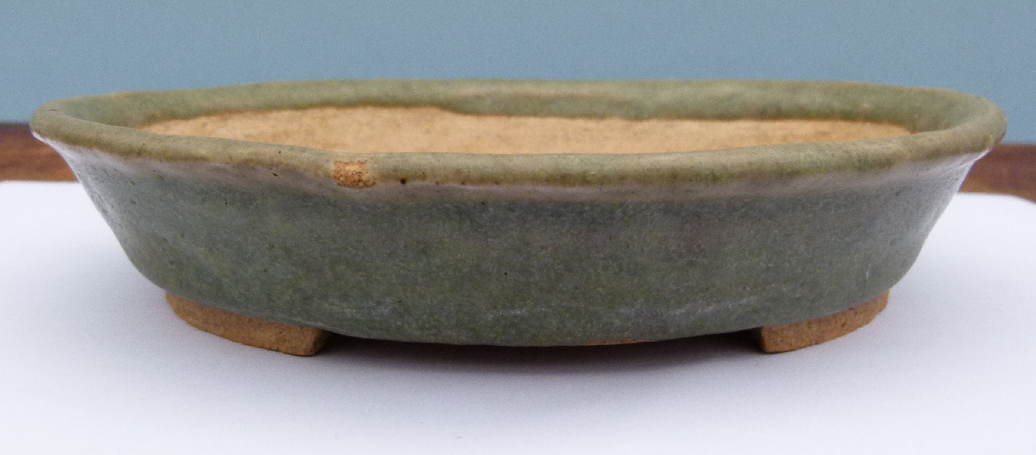 Japanese Tokoname Glazed Oval Shohin Bonsai Pot - USED – Kaizen Bonsai