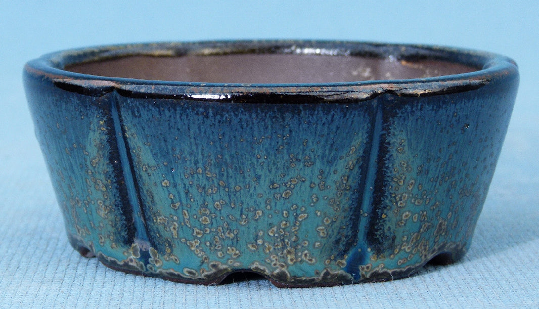 Miniature & Small Bonsai Pots to 6 inch – Kaizen Bonsai