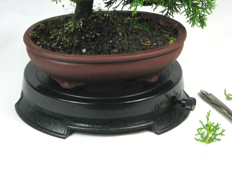 Japanese Small Bonsai Turntable – Kaizen Bonsai