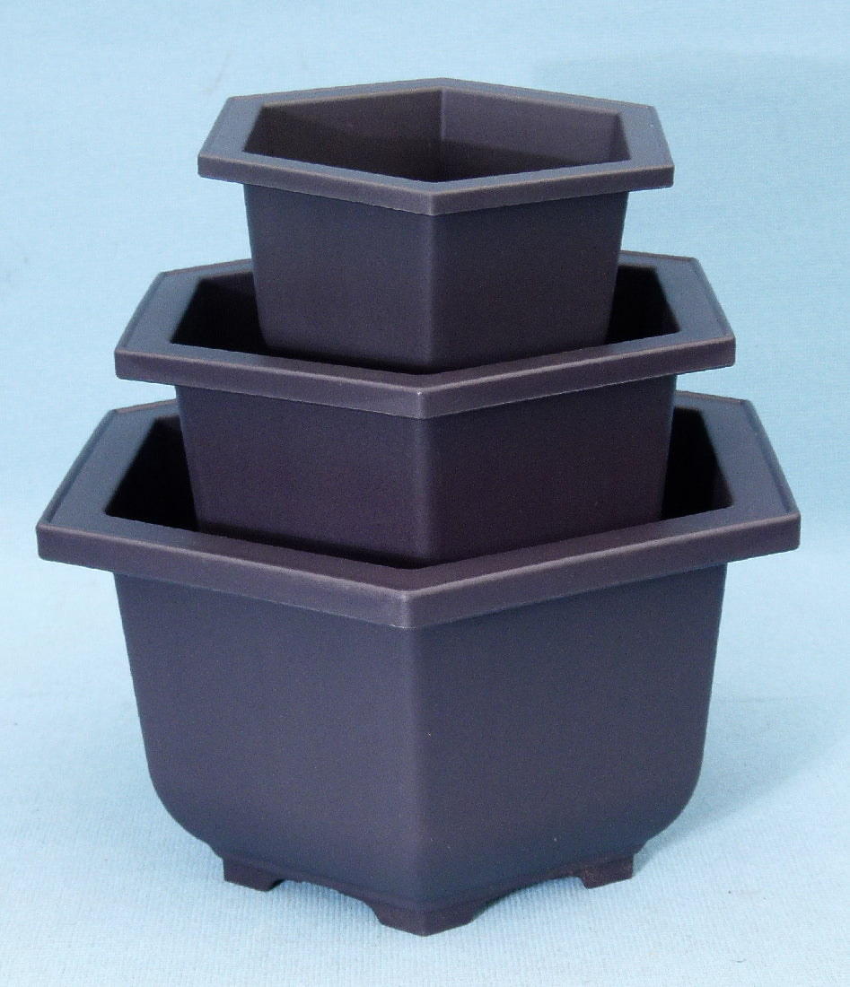 Hexagonal Plastic Bonsai Training Pots - 3 Sizes – Kaizen Bonsai