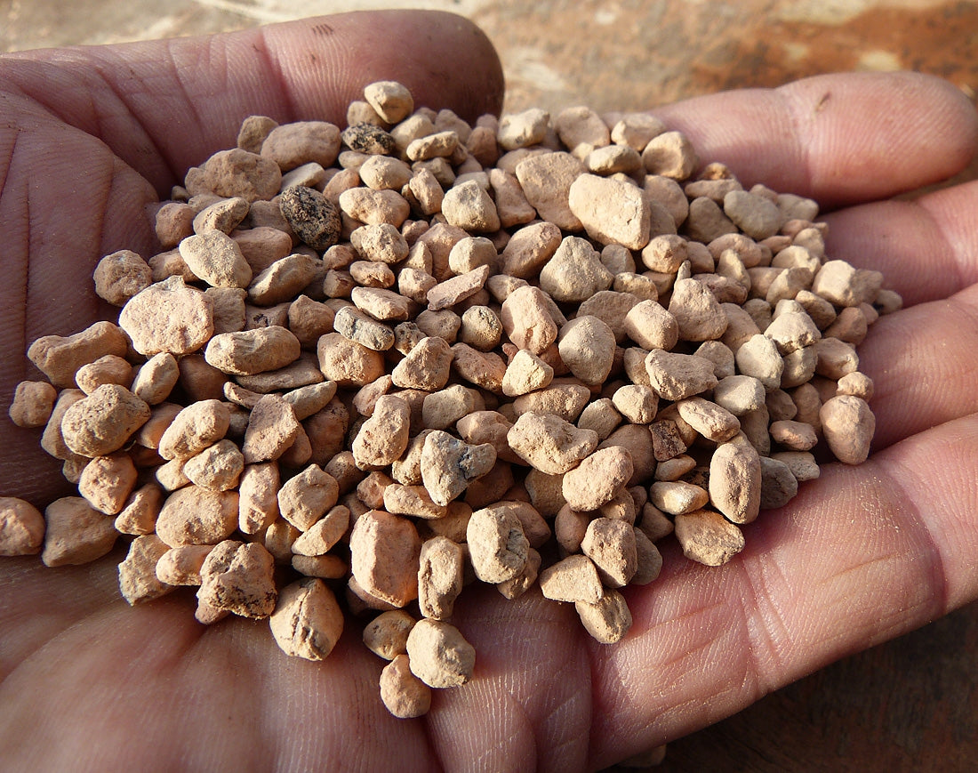 Moler Clay 5-7mm - Bonsai Aquaculture Succulent Growing Media – Kaizen ...