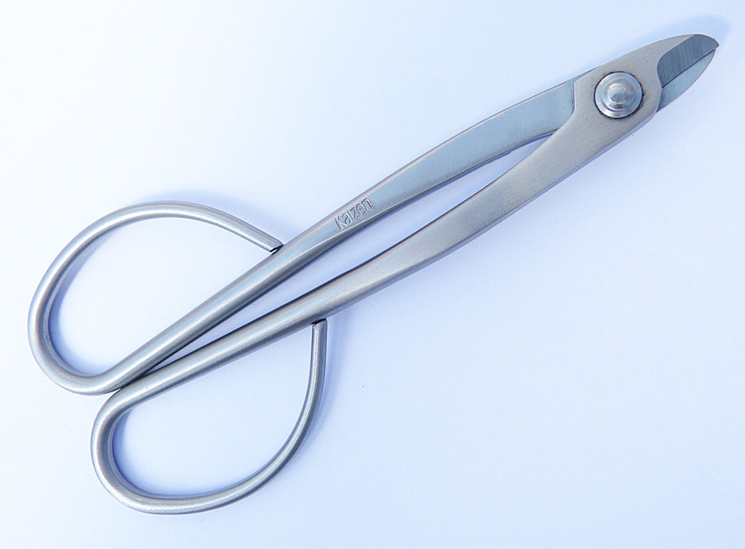 Superior Stainless Steel Bonsai Tools – Kaizen Bonsai