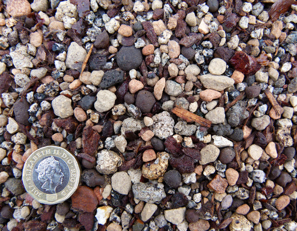 Premium Bonsai Compost No3 - Superior Drainage Mix With Biochar ...